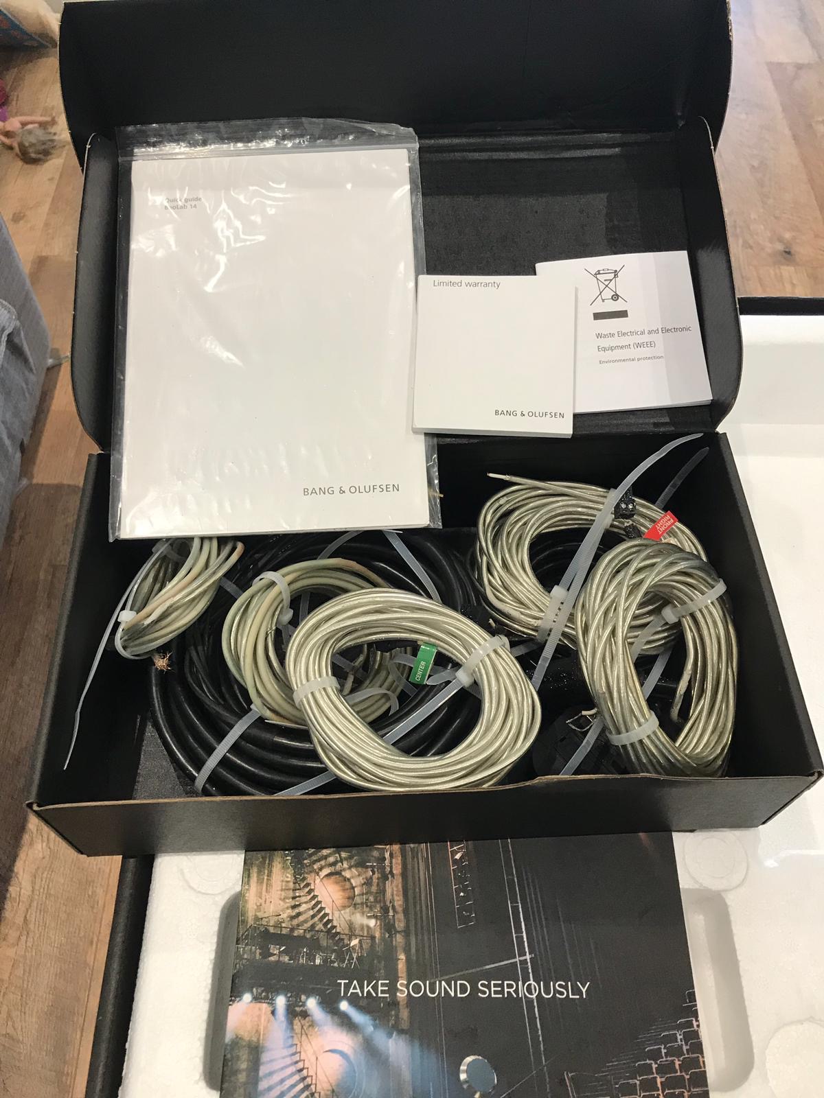 Bang & Olufsen BeoLab 14 with Wall Bracket | SkynnexAV