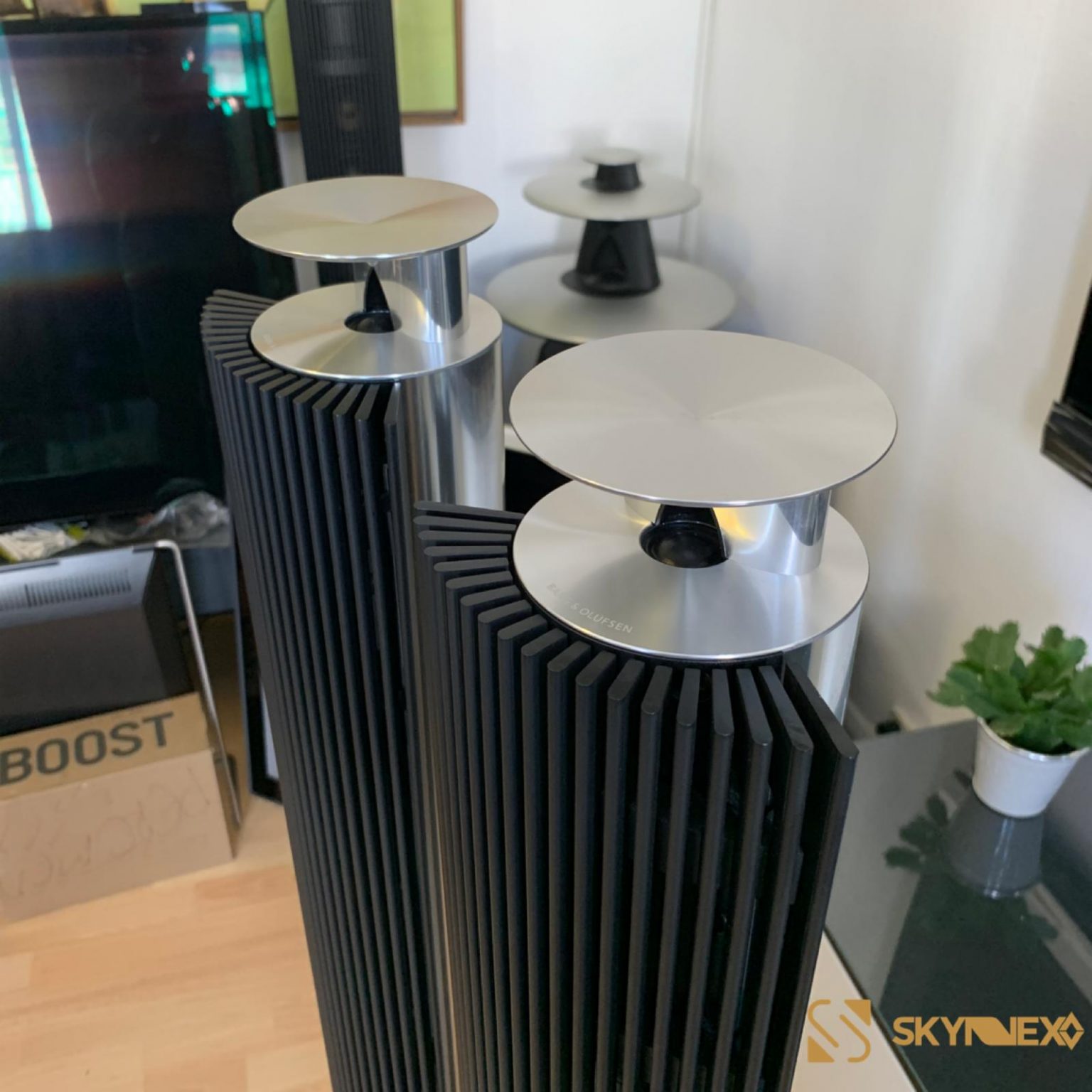 Bang and Olufsen BeoLab 8002 - Black | SkynnexAV